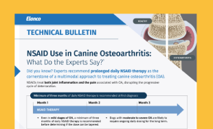 Galliprant® | Targeted canine OA pain relief